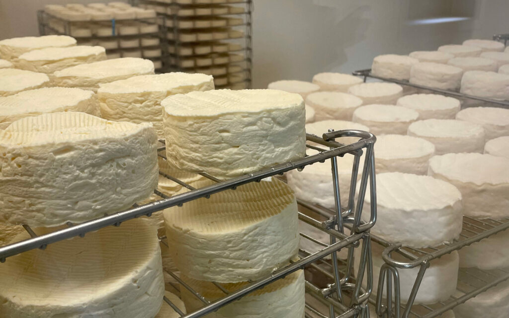 Welcome to Maison du Camembert