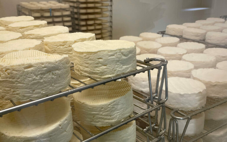 Welcome to Maison du Camembert