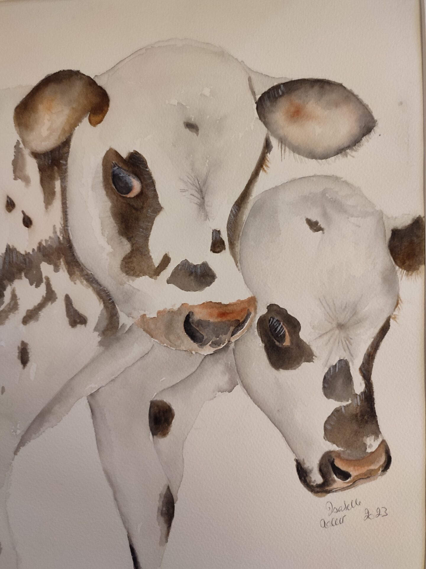 Exposition d'Isabelle Mallet - Maison du Camembert